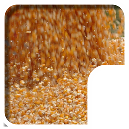 Moinhos Vieira - Moinhos de Martelo para Grãos, Cereais e Especiarias